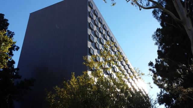 Article .::. UCLA International Institute