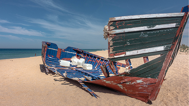 Article .::. UCLA International Institute