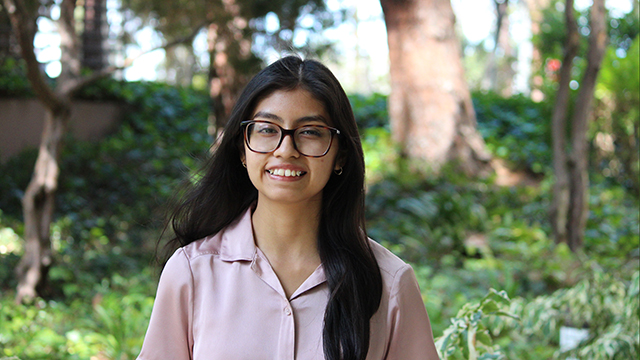 Article .::. UCLA International Institute