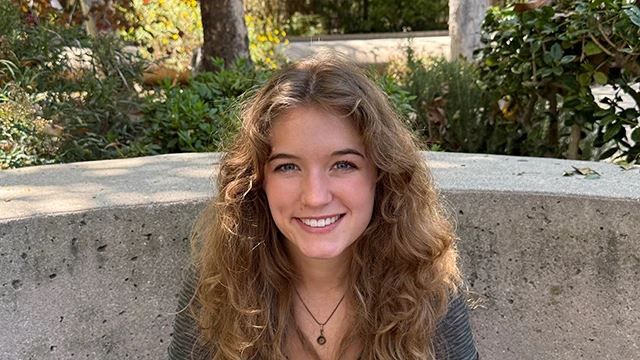 Article .::. UCLA International Institute